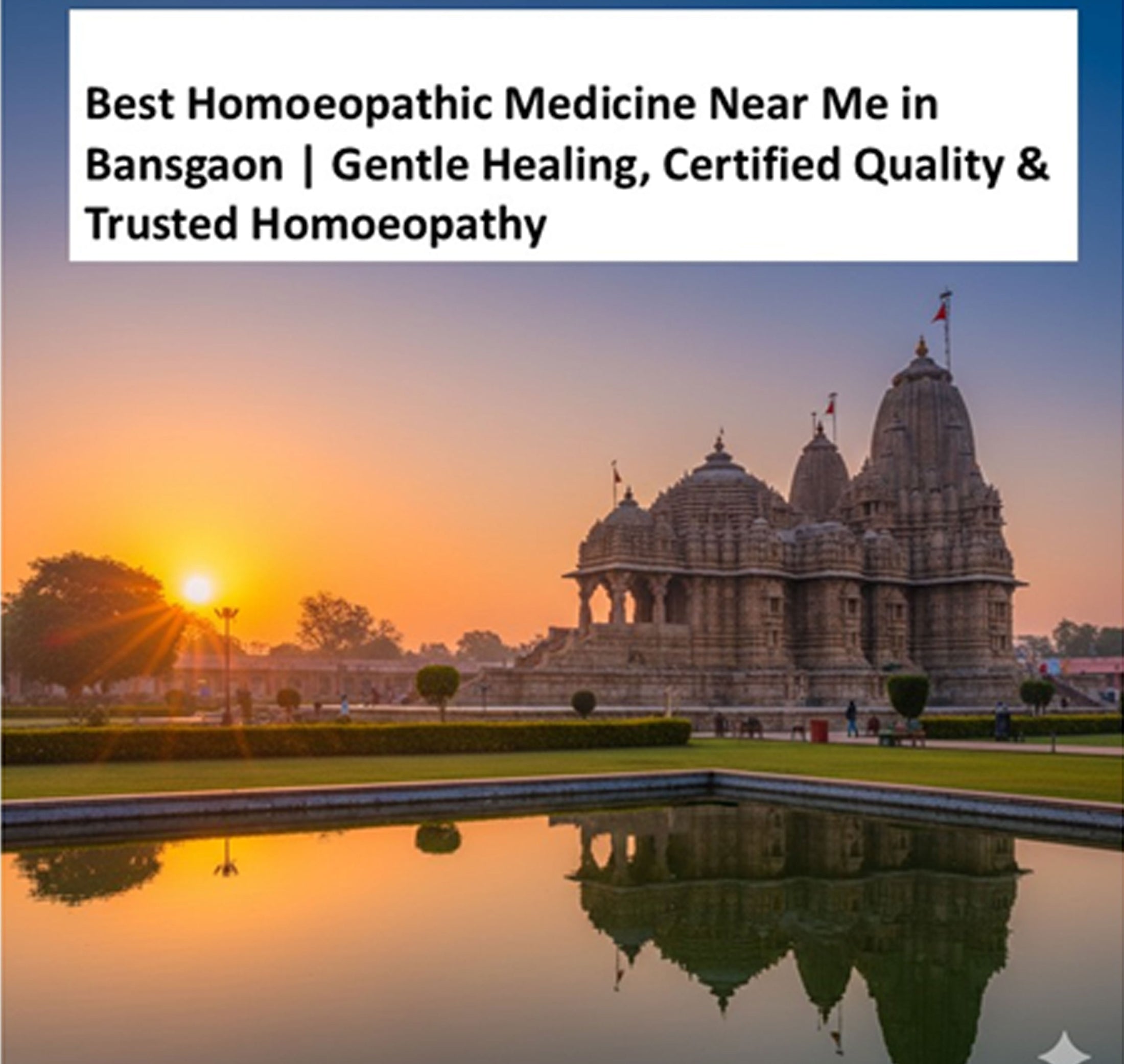 Best Homoeopathic Medicine Near Me in Bansgaon